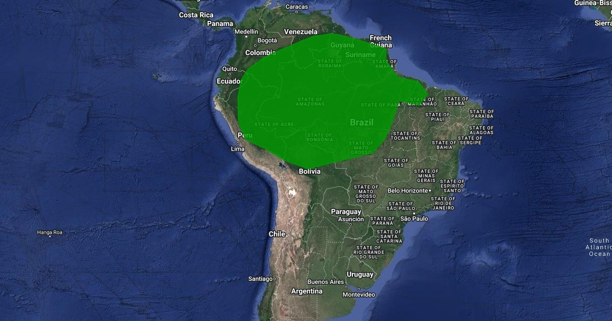 amazon rainforest : Scribble Maps