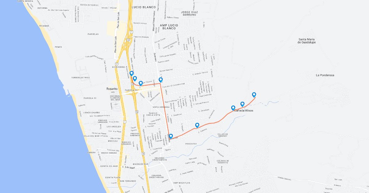 Orange Trees : Scribble Maps