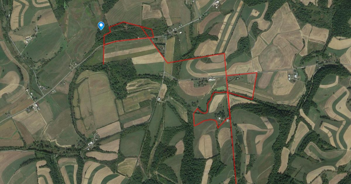 Survey Plot : Scribble Maps